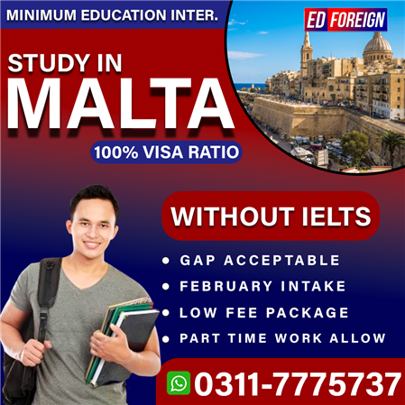 STUDY IN MALTA