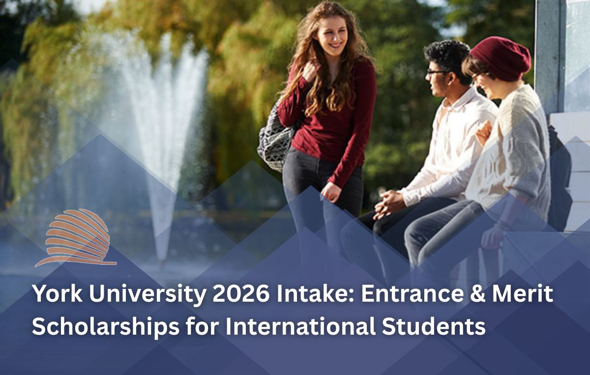 York University 2026 Intake: Entrance & Merit Scholarships for ...
